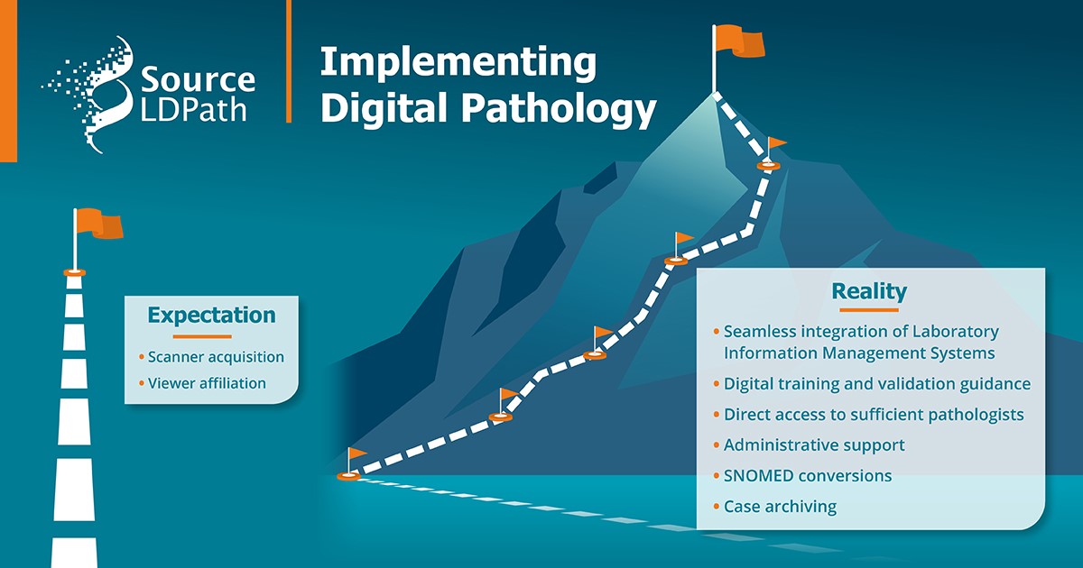 Digital Pathology Services | Source LDPath | AI