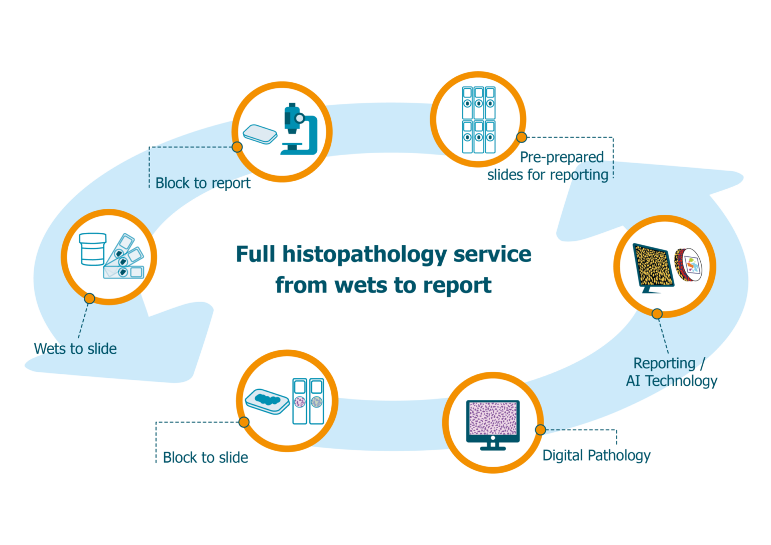 Cellular Pathology Services | NHS | Histopathology
