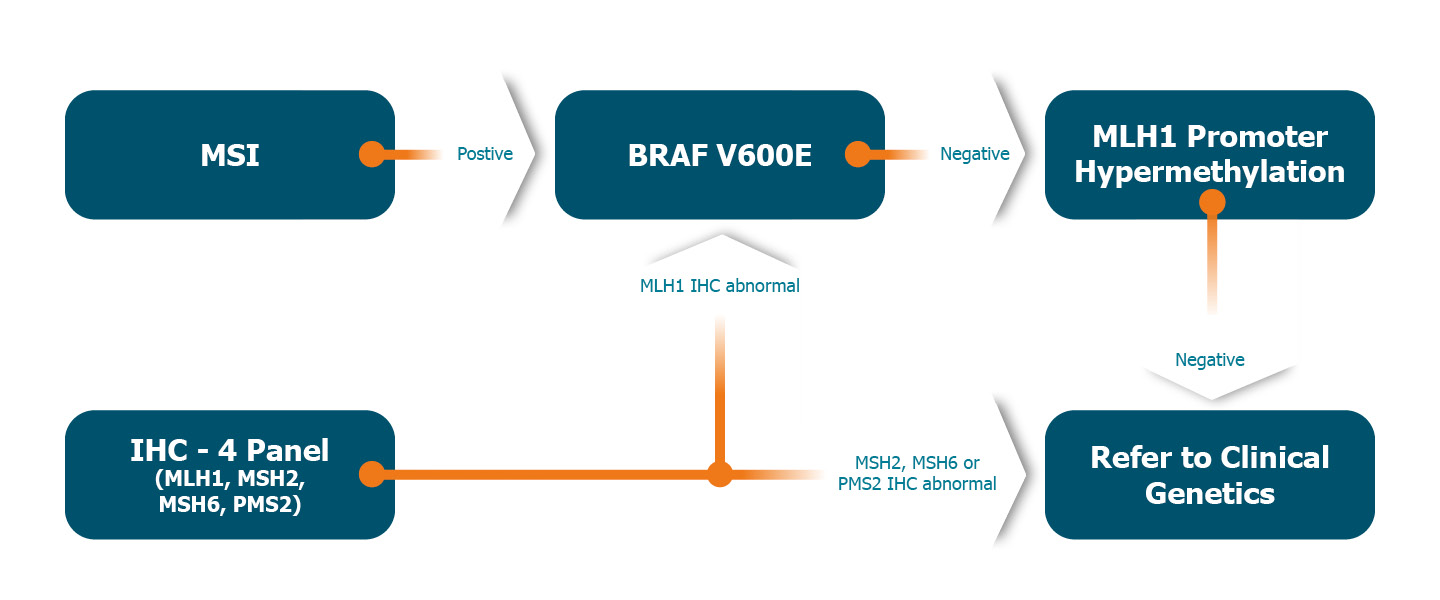 Molecular Pathway Testing for Colorectal Cancer Treatment