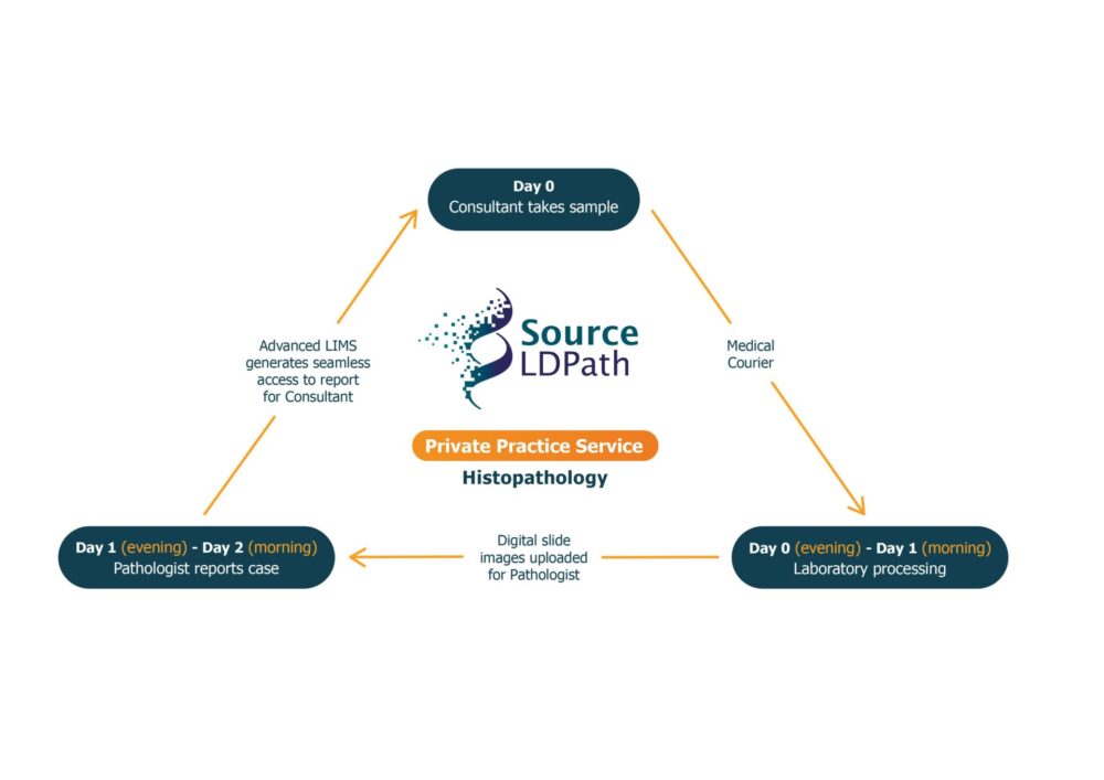 Histopathology Partner for Private Healthcare | Source BioScience