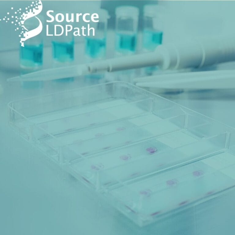 Understanding Olink Proteomics | Source Bioscience