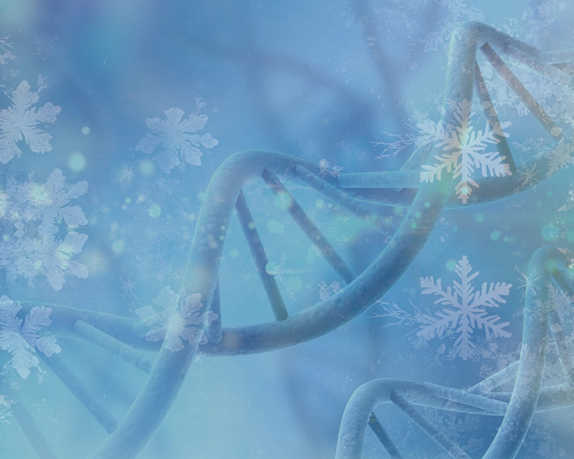 Christmas & New Year Opening Times | Source BioScience